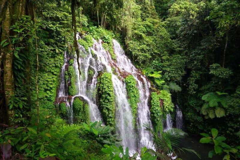 Munduk: Banyu Wana and Sekumpul Waterfall Trekking Tour - Key Points