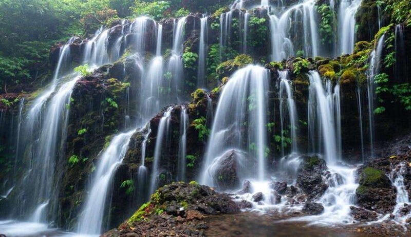 Munduk: Banyu Wana and Sekumpul Waterfall Trekking Tour - What Makes This Tour Stand Out?