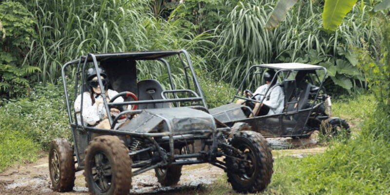 Munduk: Buggy Adventures with Picnic Lunch - The Real Traveler Experience