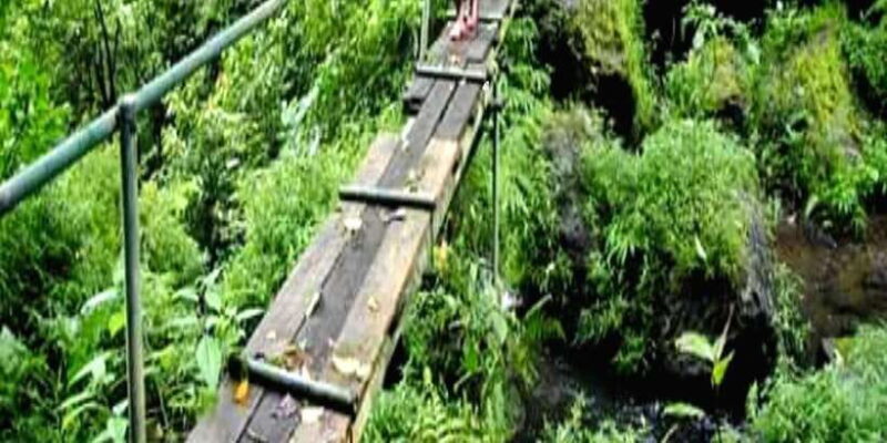 MUNDUK : Jungle Trekking Day Tour - An Authentic Day in North Bali’s Wilderness