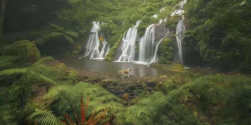 MUNDUK : Jungle Trekking Day Tour - The Value of the Experience