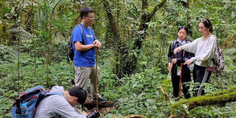 Munduk : Jungle Trekking,Canoeing,waterfall &authentic lunch - An Authentic Bali Adventure in Munduk