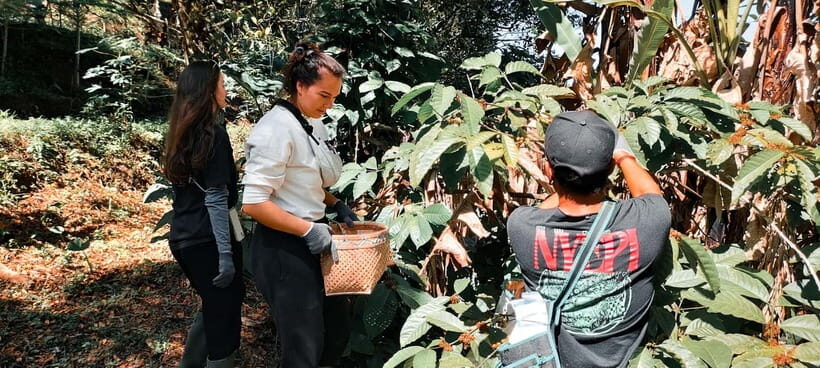 Munduk: Regenerative Roots Permaculture Farm Tour - Key Points