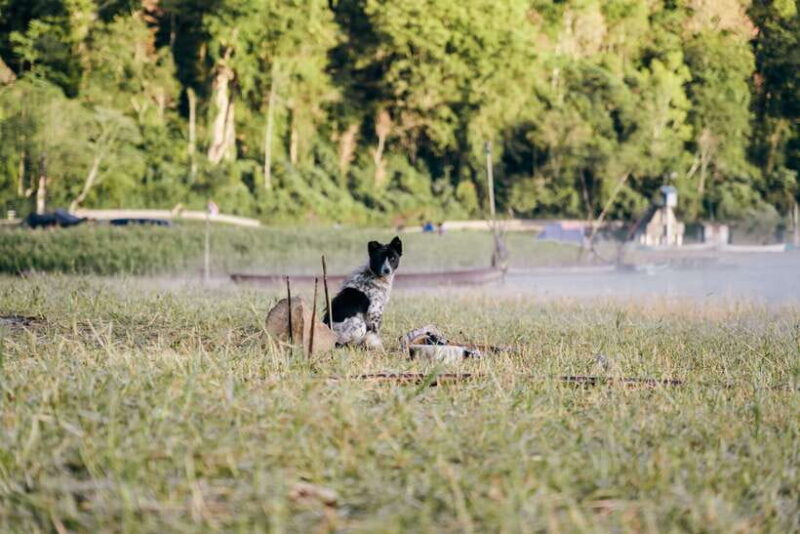 Munduk: Sunrise Canoeing and Exploring Sacred Temples - The Sum Up