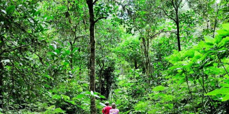 Munduk: Twin Lakes Jungle Hike with Lake Canoe and Waterfall - Exploring the North Bali Landscape