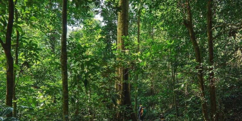 Munduk: Twin Lakes Jungle Hike with Lake Canoe and Waterfall - Temples and Cultural Stops