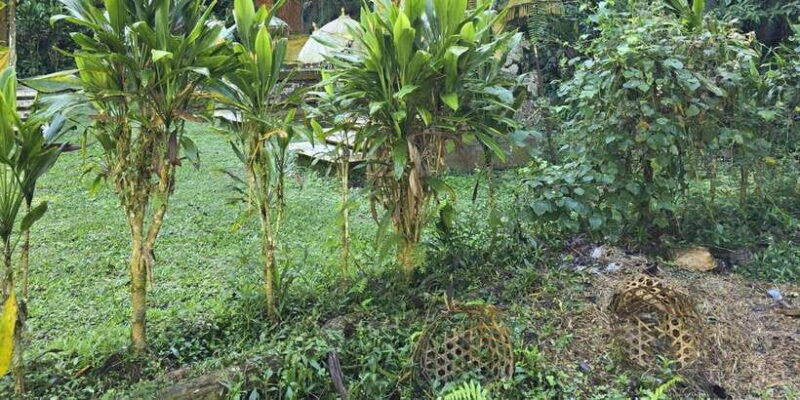 Munduk: Twin Lakes Jungle Hike with Lake Canoe and Waterfall - Final Thoughts
