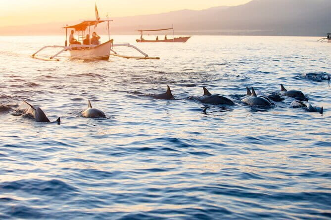 Munduk Waterfall Dolphin and Snorkeling Tour - Key Points