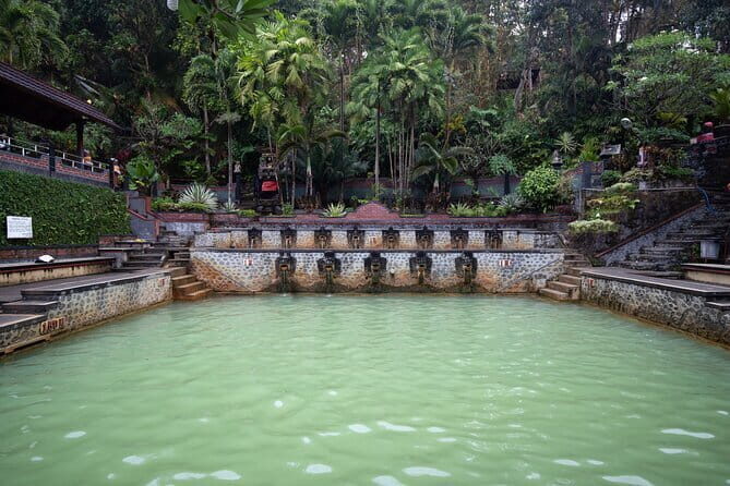 Munduk Waterfall Dolphin and Snorkeling Tour - Additional Highlights and Practical Aspects