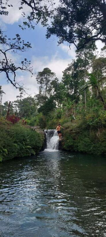 Munduk: Waterfall,Coffee Plantations & Hydrangea Trail - The Experience: Balancing Value and Authenticity