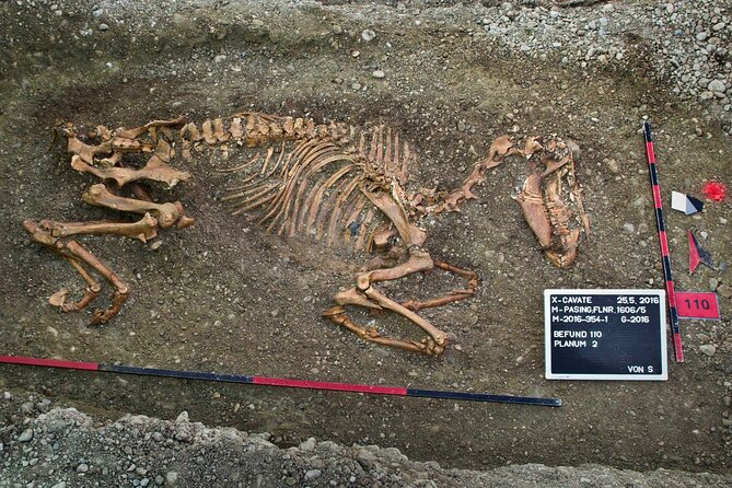 Munich Macabre Group Walking Tour Review - Exploring Macabre Aspects of Munichs Past