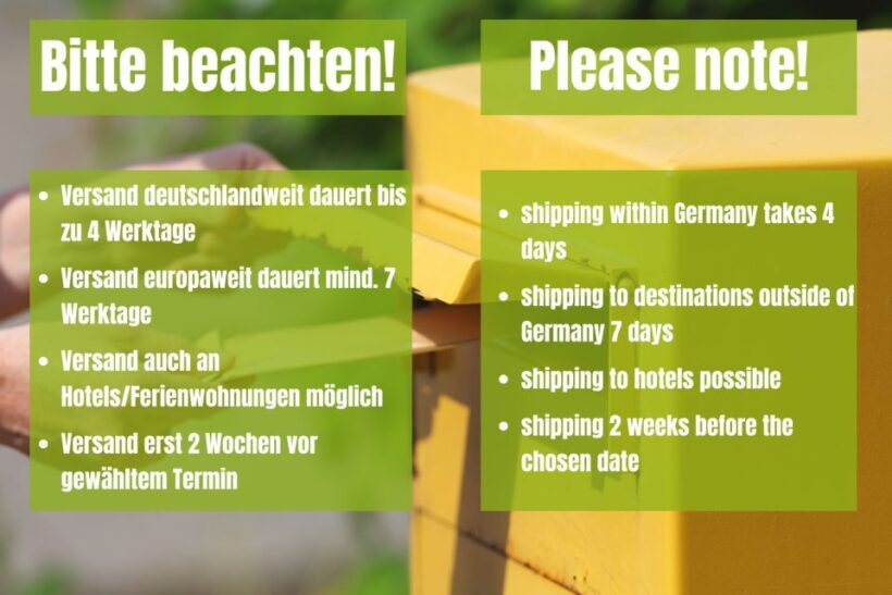 Munich: Scavenger Hunt Self-Guided Tour - Final Thoughts