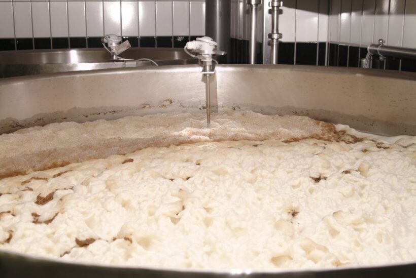 Munich's Beer Halls and Breweries: 3-Hour Guided Tour - Key Points