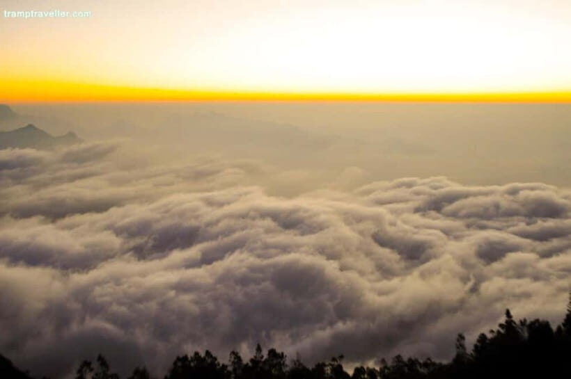 Munnar: Chokramudi Peak Full-Day Trekking Tour - An Honest Look at Munnar’s Treasures