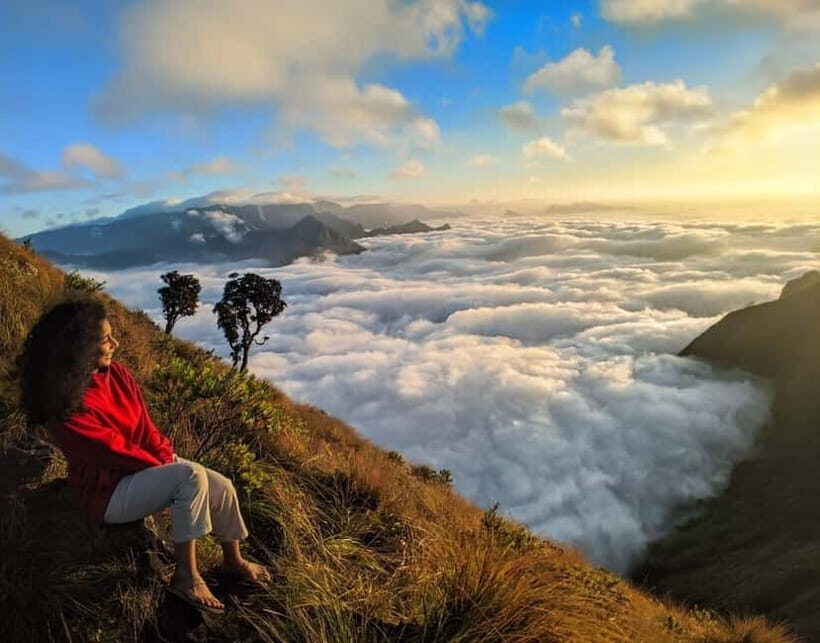 Munnar: Chokramudi Peak Full-Day Trekking Tour - The Logistics: What Does the Tour Include?