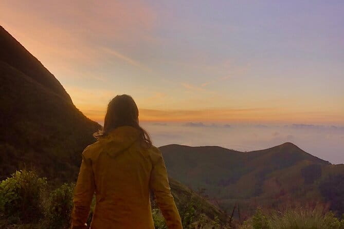 Munnar Daily Tour - Key Points