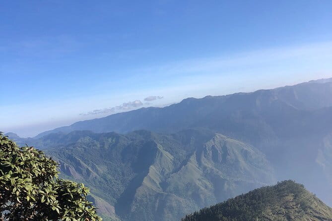 Munnar Daily Tour - Practical Details and What You Should Know