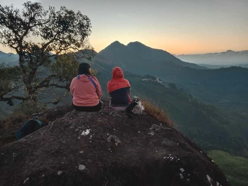 Munnar: Half day Guided Trek - What to Expect on Your Munnar Trek