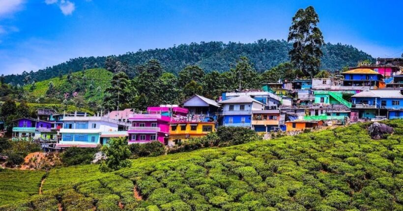 Munnar Hill Station with Periyar Wildlife Tour (03 Days) - Final Thoughts