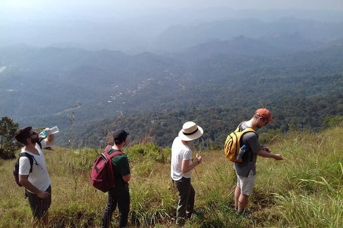 Munnar historical trail- (walk into Tea garden, village & market) - What to Expect from the Itinerary