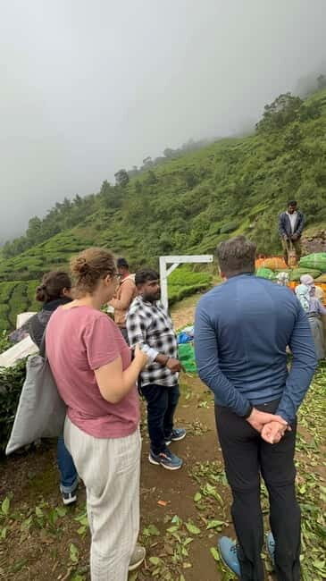Munnar: Kolukkumalai Tea Plantation Jeep Tour - FAQs