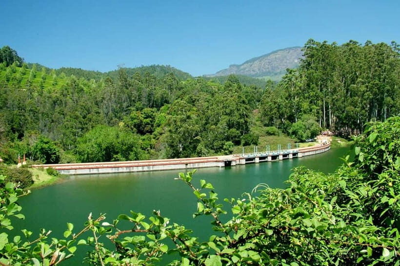 Munnar site-seeing Tour - Key Points