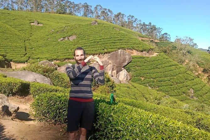 Munnar Tea Plantation Evening walking with Sunset View - Points to Consider