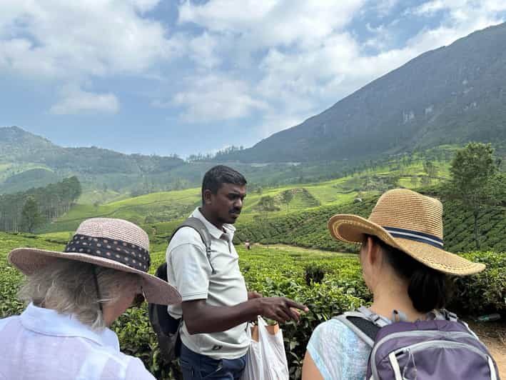 Munnar: Tea trail, Tea Factory, and Tea Tasting Tour - The Sum Up