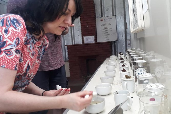 Munnar Tea Trail Tour with Factory Experience ( By Munnar Info) - The Authentic Experience