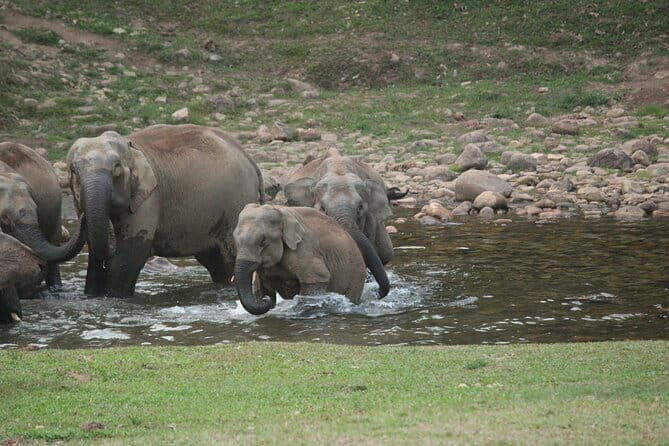 Munnar trek - Western Ghats - Final Thoughts