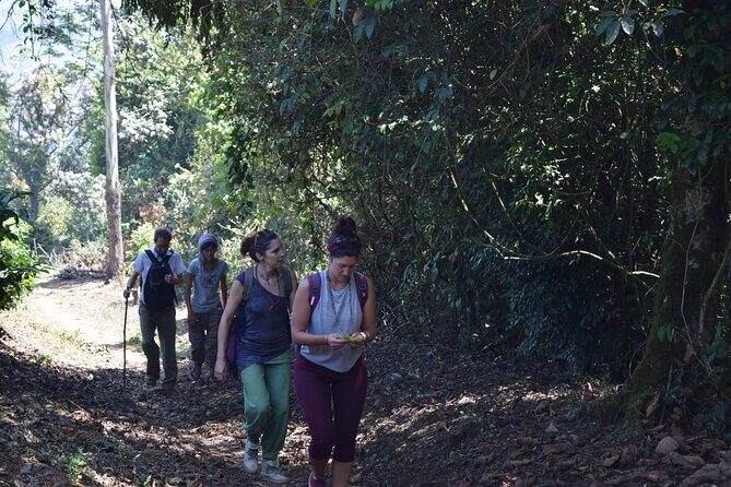 Munnar Trekking (Amazing Munnar Adventure Tours) - Engaging Introduction