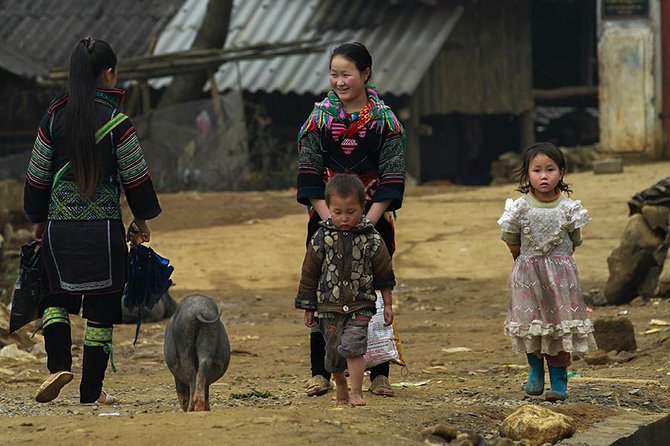 Muong Hoa Valley Trek & Homestay Experience - 4D3N - What Reviewers Say