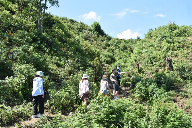 Muong Hoa Valley View & Village Trek in Sapa 1 Day - FAQs