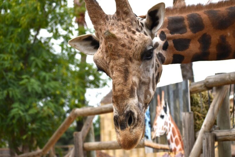 Murcia: Terra Natura Murcia Ticket Entry - Key Points