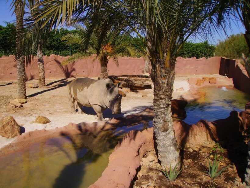 Murcia: Terra Natura Murcia Ticket Entry - Visitor Experiences and Authentic Insights