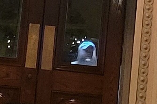 Murder & Mayhem Haunted History Walking Tour - The Itinerary: Stops and Stories