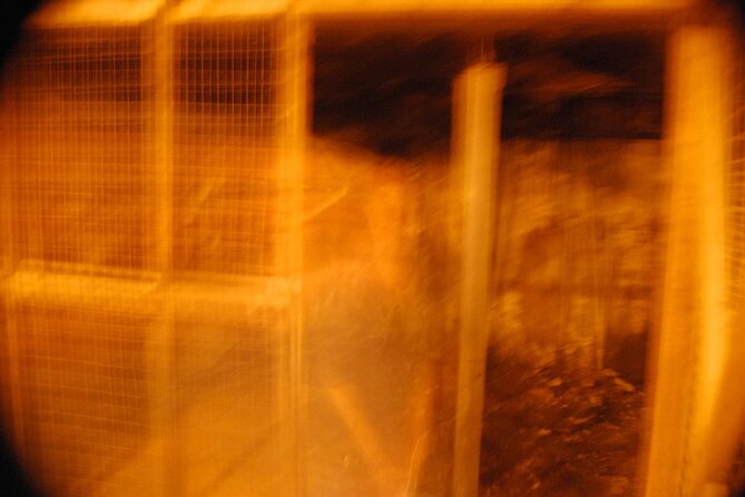 Murder & Mayhem Haunted History Walking Tour - FAQ: Common Questions Answered