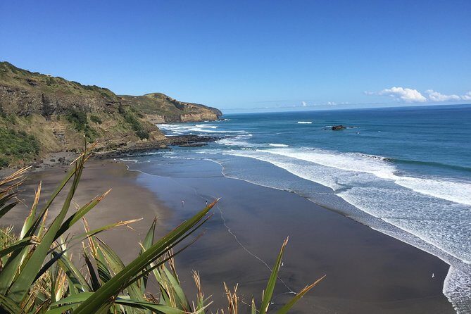Muriwai Scenic Wine Tour from Auckland - Exploring the Itinerary: What You Can Expect