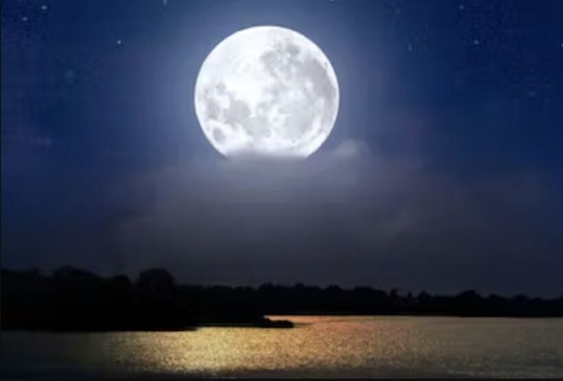 Murrells Inlet by Moonlight: Legends & Lores of the Inlet - Introduction: A Nighttime Journey into Murrells Inlet’s Legends