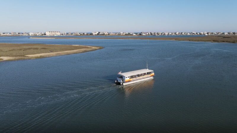 Murrells Inlet: Saltwater Marsh Eco Tour w/ Marine Biologist - The Bottom Line: Is It Worth It?
