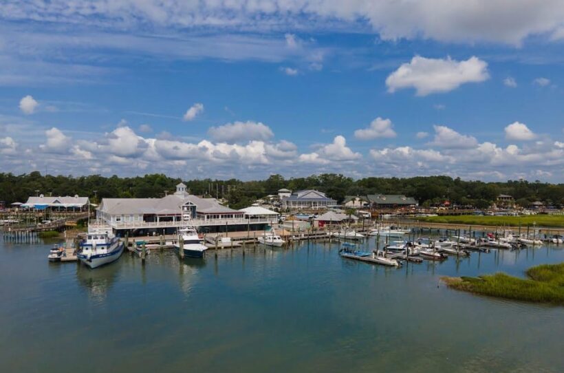 Murrells Inlet: Sunset Sealife Cruise - Key Points