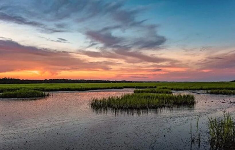 Murrells Inlet: Sunset Sealife Cruise - Authentic Experiences and Real Insights