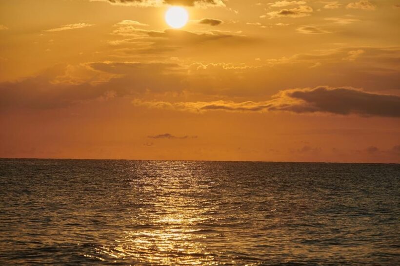 Murrells Inlet: Sunset Sealife Cruise - Analyzing the Price and Overall Value