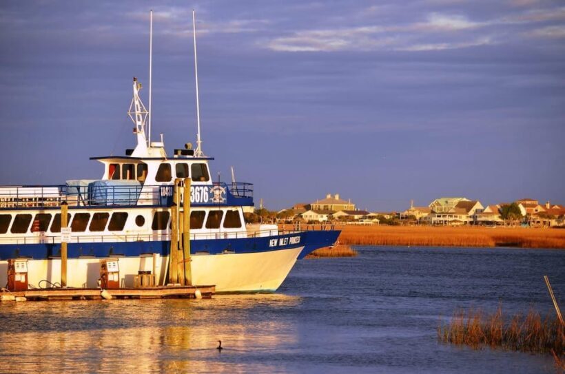 Murrells Inlet: Sunset Sealife Cruise - Who Would Enjoy This Cruise?