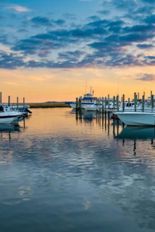 Murrells Inlet: Sunset Sealife Cruise - Who Should Consider This Tour
