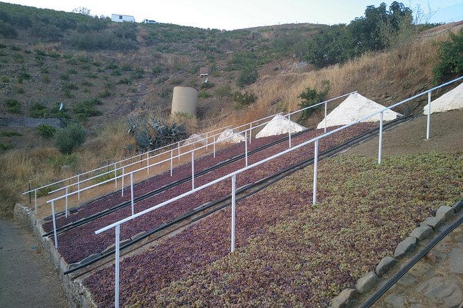 Muscat Raisin Route - Small Group With Lunch Included - Inclusions