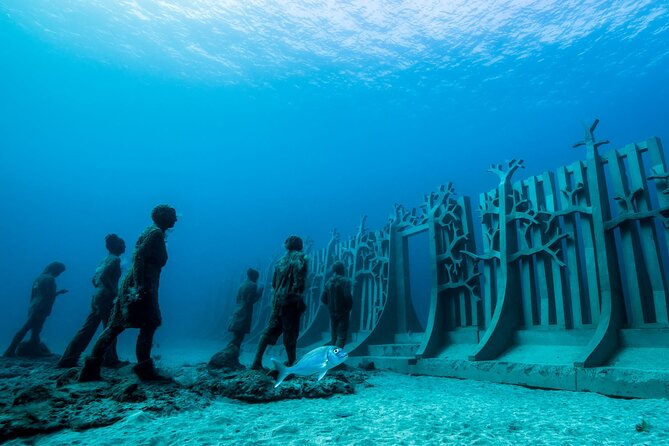 Museo Atlantico for Certified Divers - Why Choose Museo Atlantico?