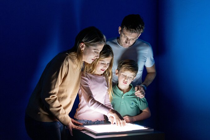 Museum of Illusions Alicante Entrance Ticket - Visitor Information