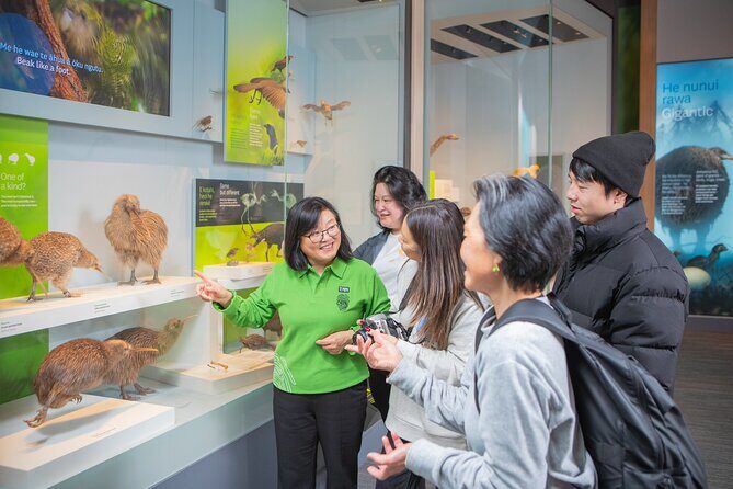 Museum of New Zealand Te Papa Tongarewa: Introducing Te Papa Tour - Introduction
