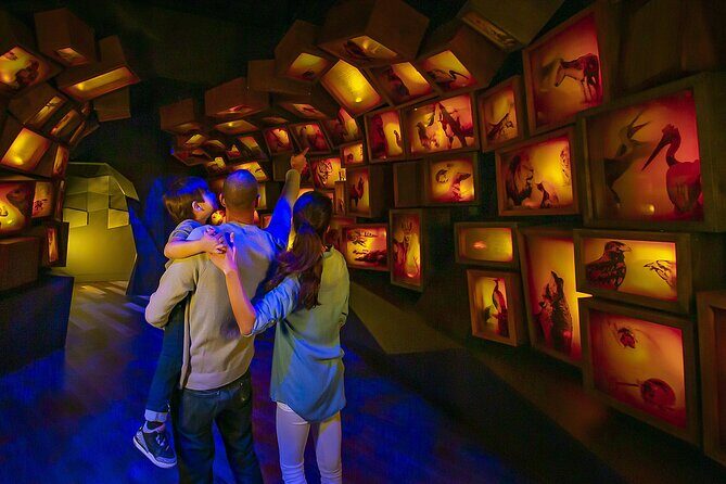 Museum of the Bible Admission Ticket - Overview of Your Visit